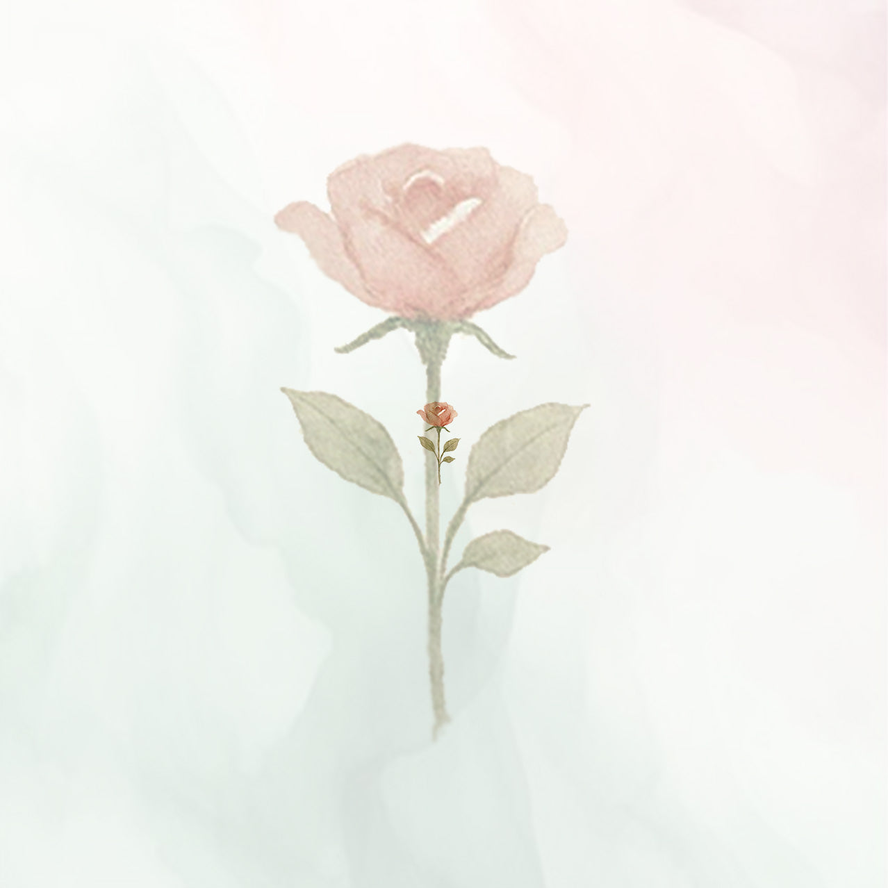 The Ever Rose – FableFab