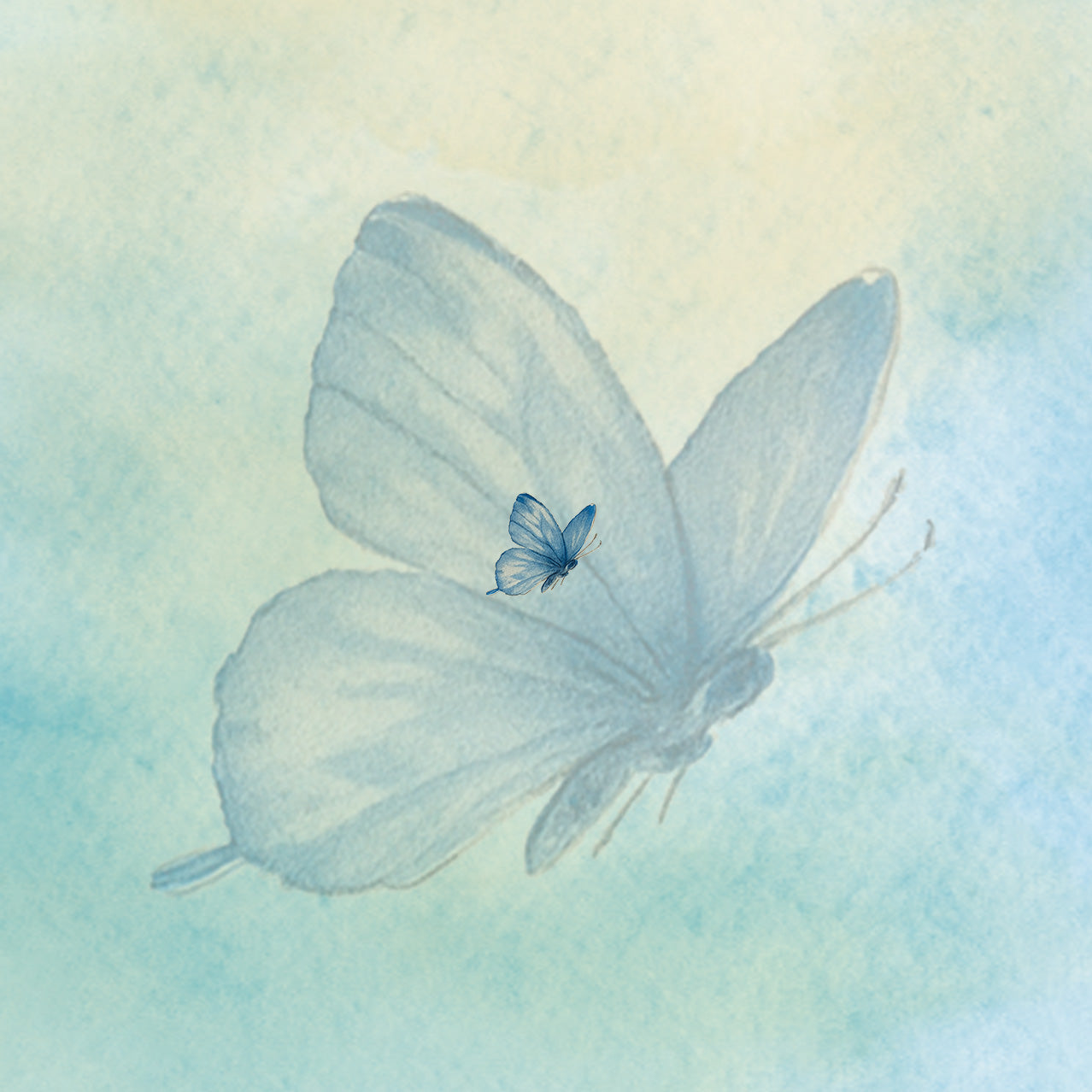 The Invisible Bond – FableFab